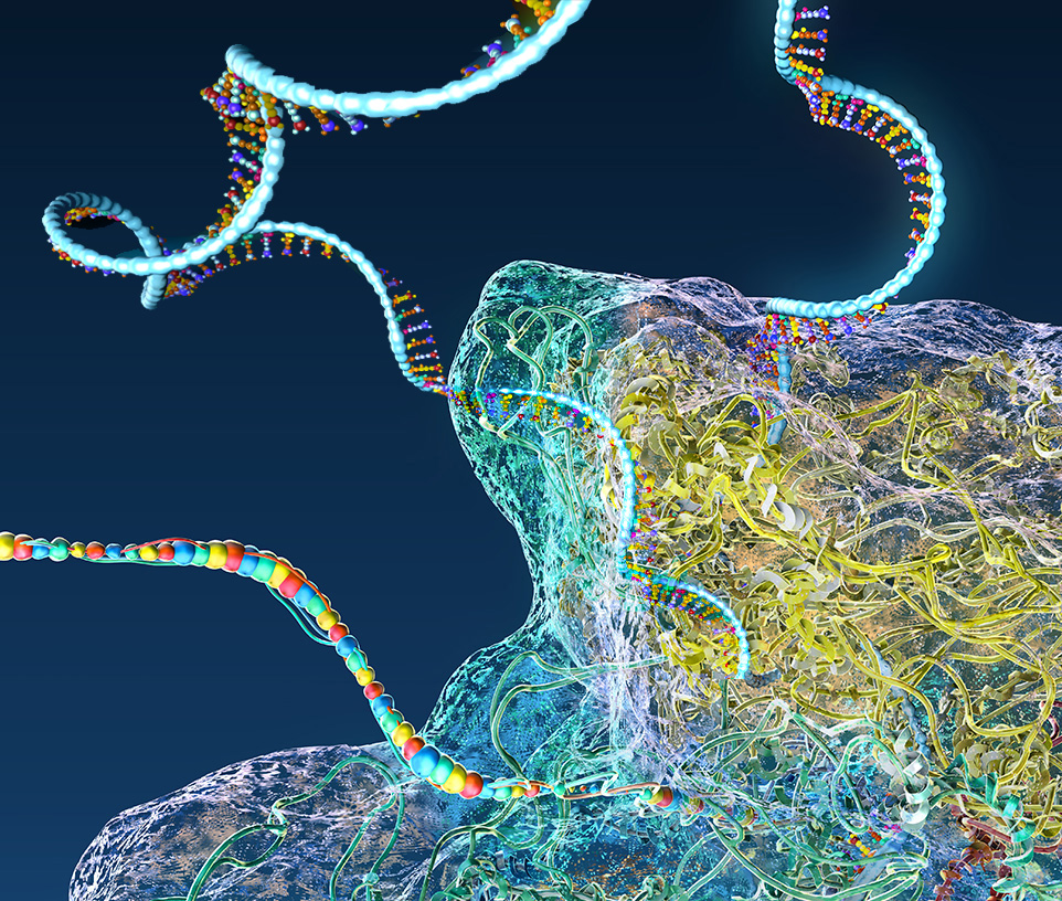 Kimera Society’s 1st American Exosomes and RNA Conference | Boston Biolife